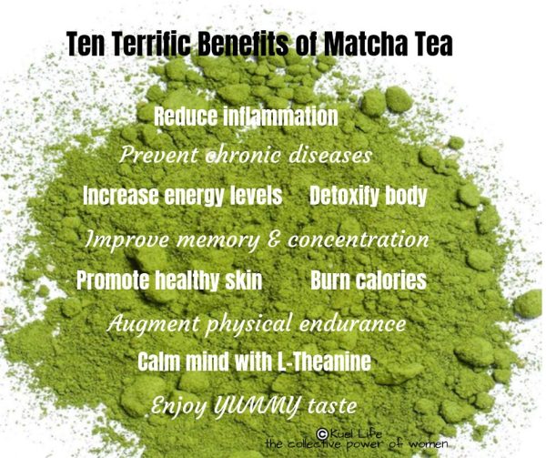 Facts About Matcha - Kuel Life