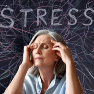 When The Teacher Becomes The Student Kuel Life