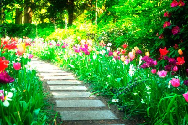 Six Steps To Grow Your Vision This Spring Kuel Life